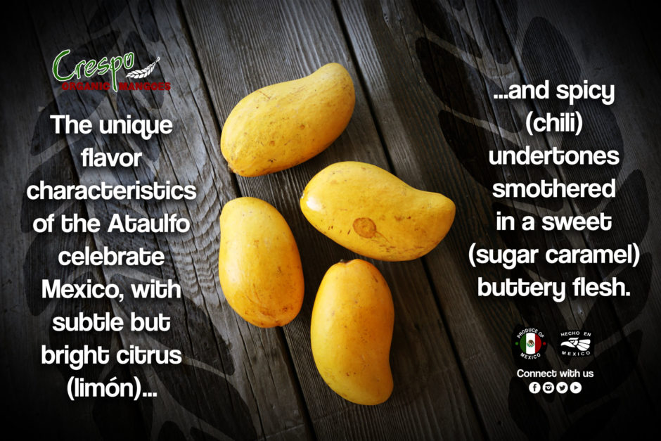 Little Ataulfo Mangoes - Under the Mango Tree