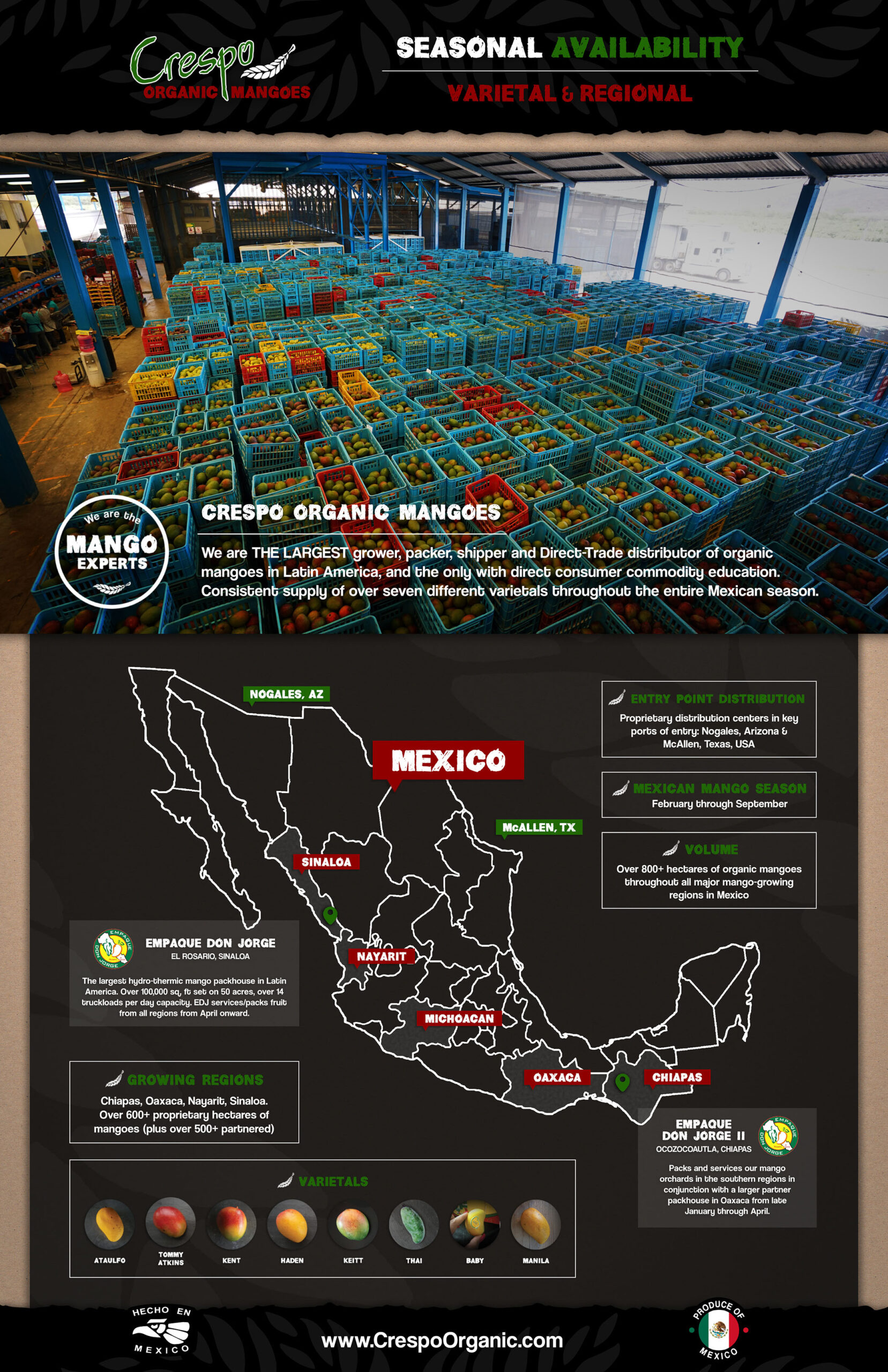 Mexican Season Availability - Under the Mango Tree