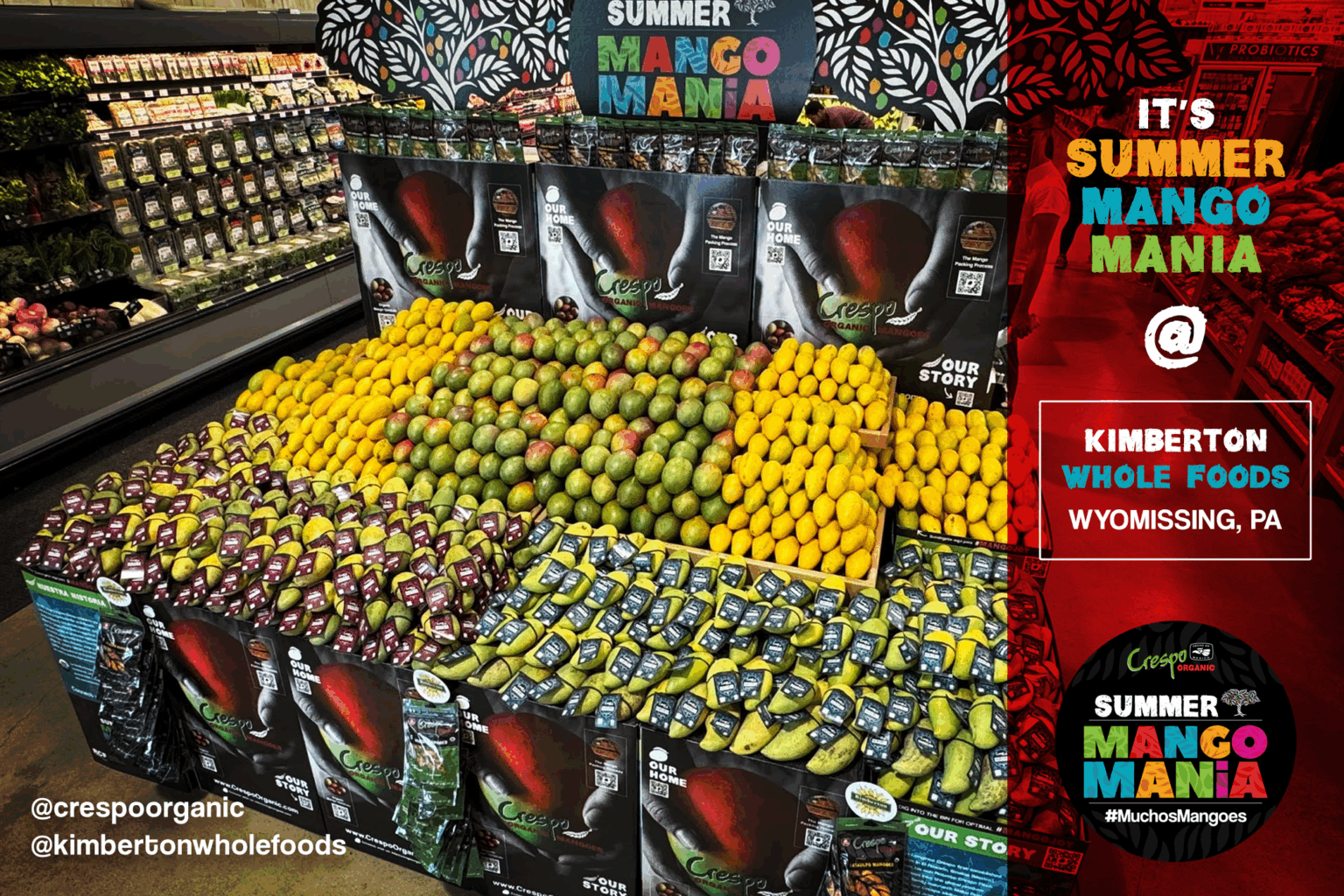 Maxxing Crespo Organic Mangoes - Under the Mango Tree