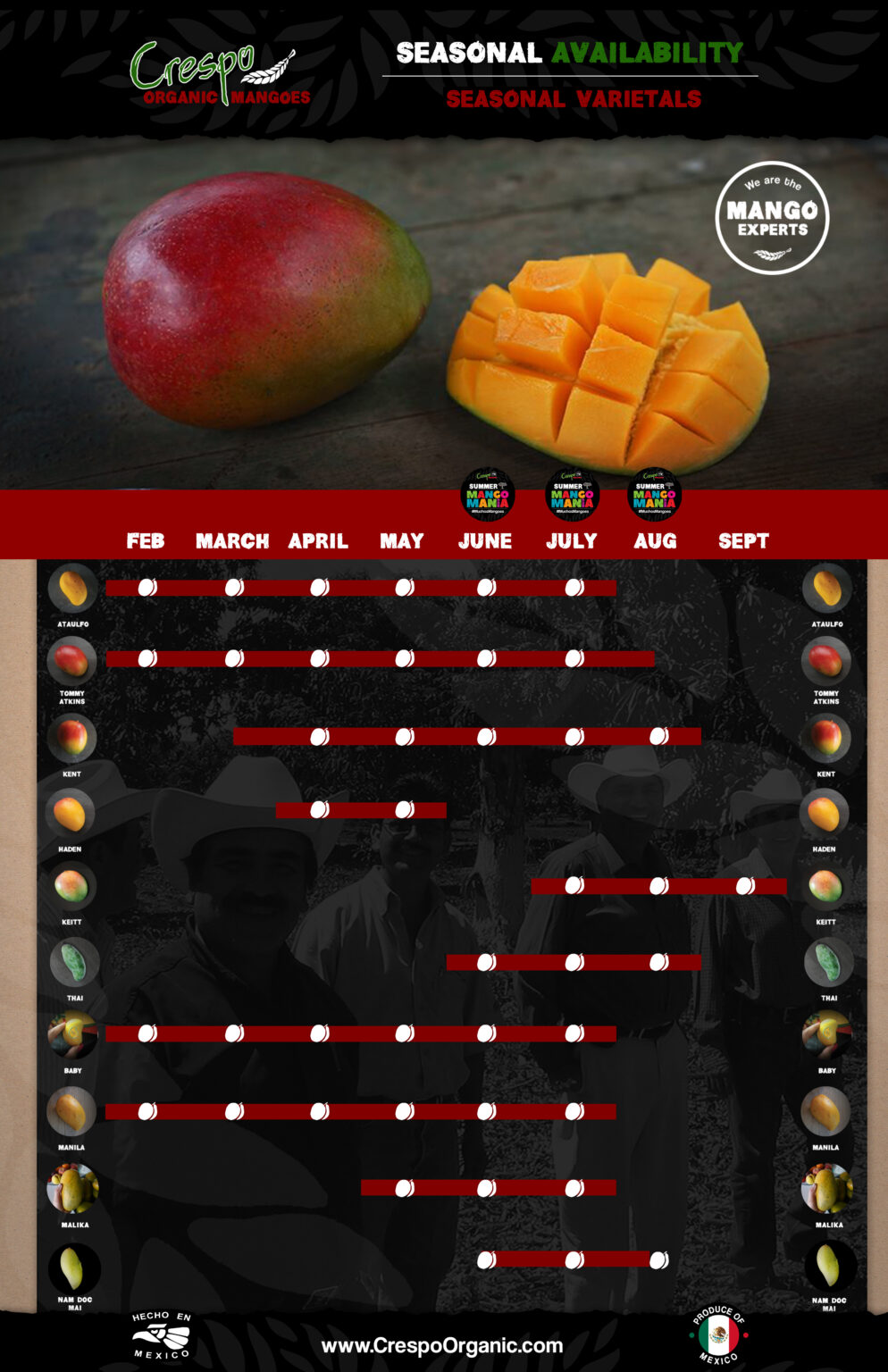 Maxxing Crespo Organic Mangoes - Under the Mango Tree